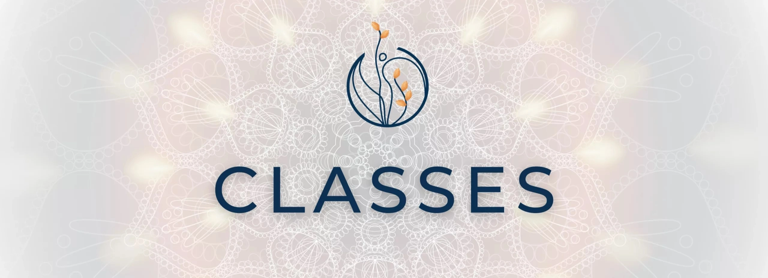 Classes - Evolve Wellness