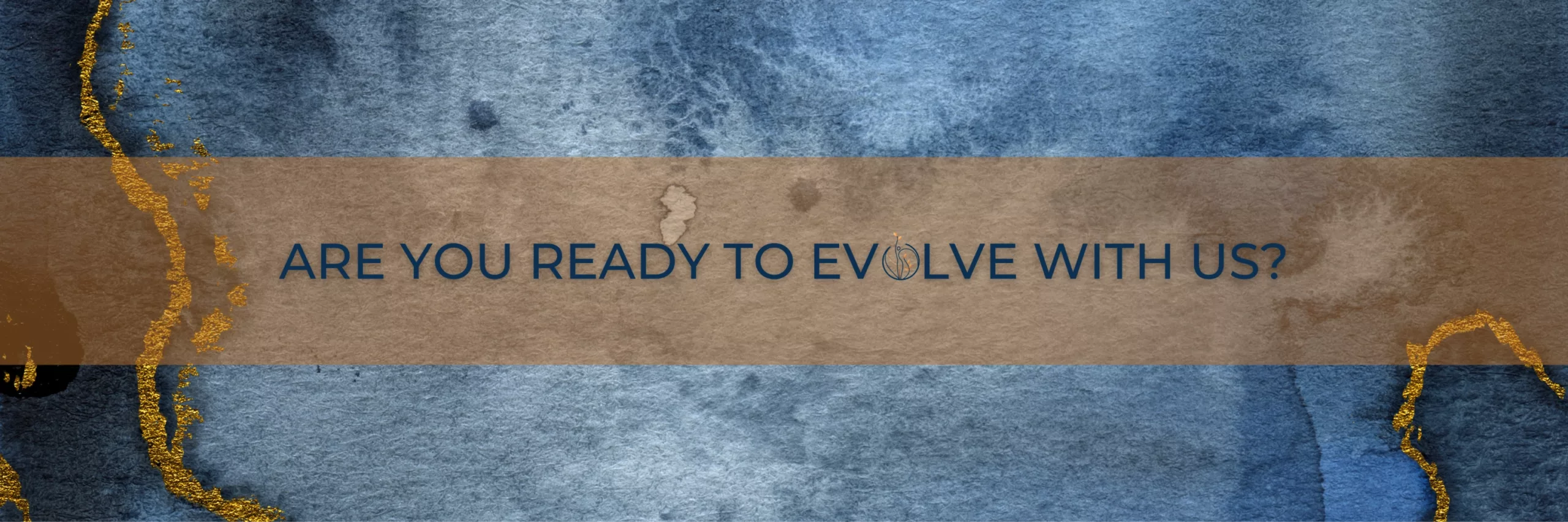 Experiences - Evolve Wellness