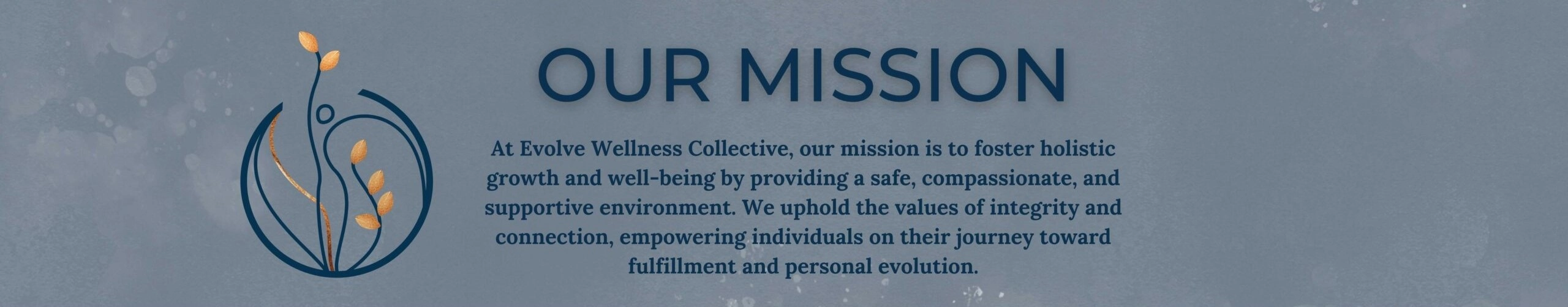 About Us - Evolve Wellness