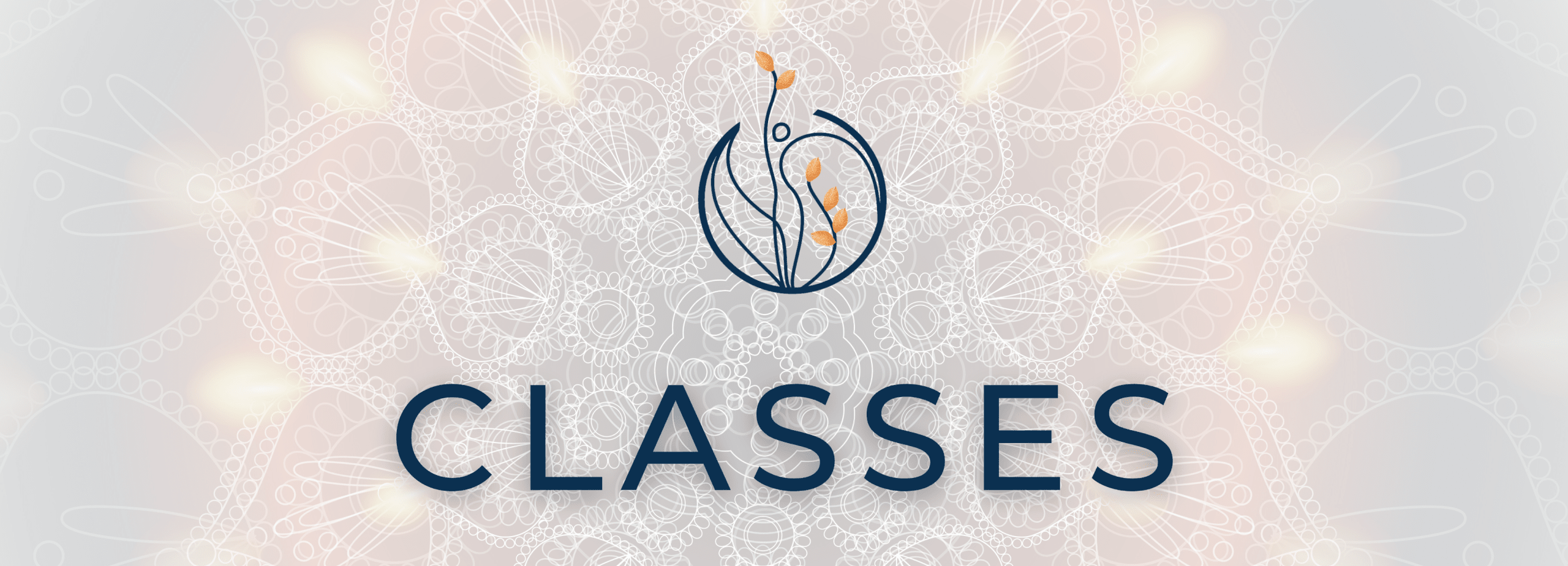 Classes - Evolve Wellness