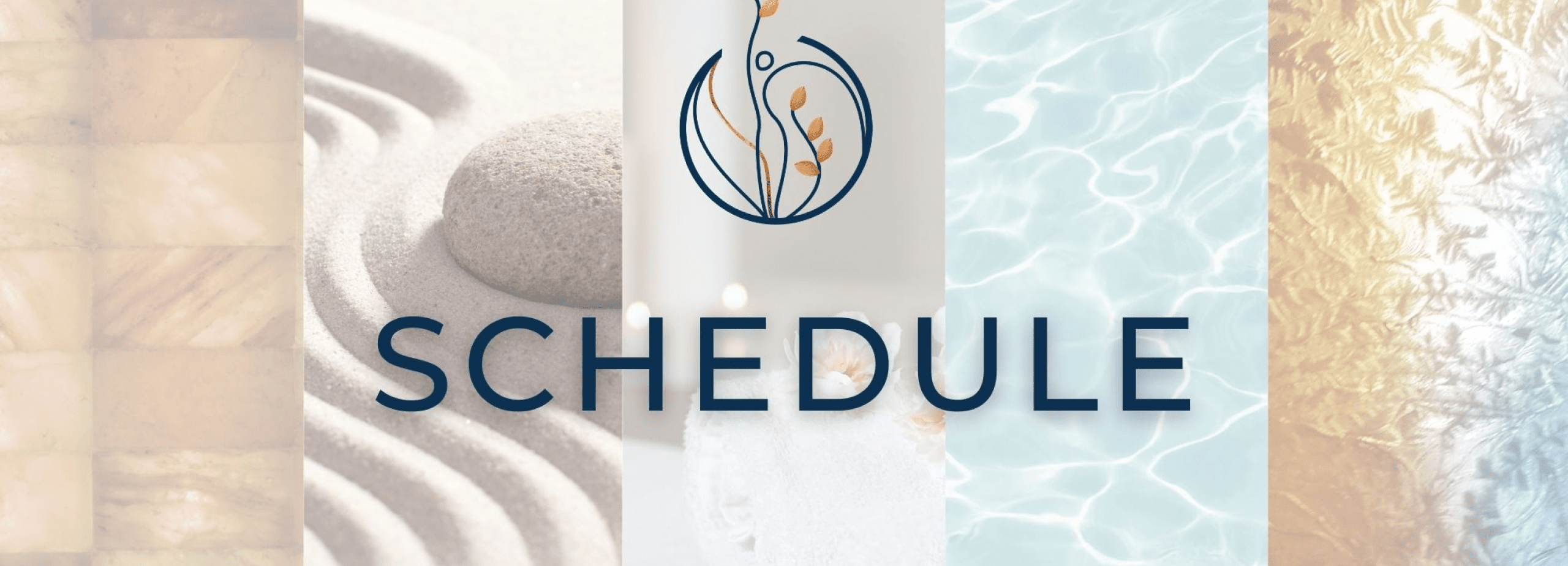 Schedule - Evolve Wellness
