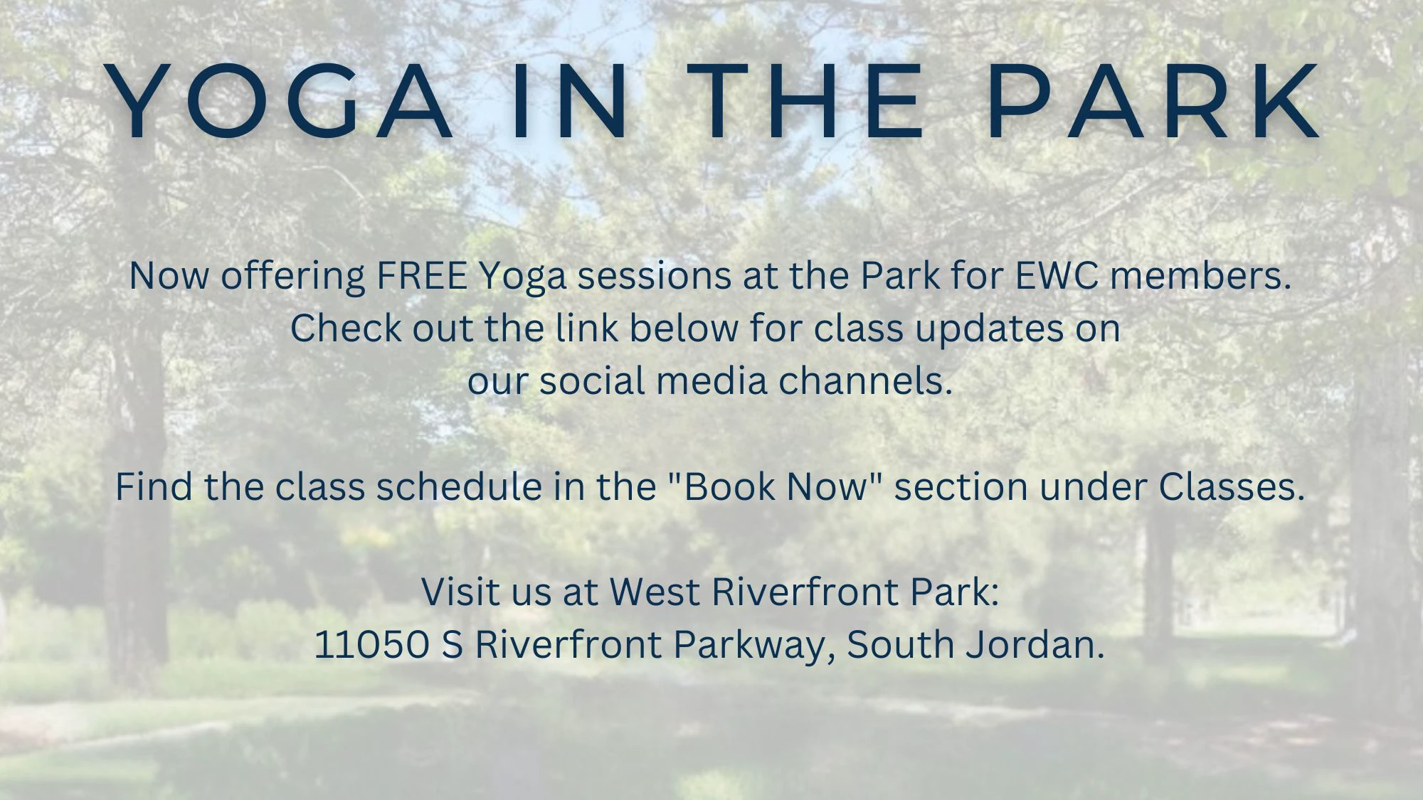 Home - Evolve Wellness